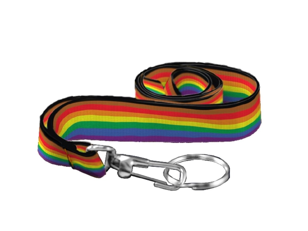 Bulk Philadelphia's 8 Stripe Pride Lanyards, Philly Pride Flag Lanyards ...